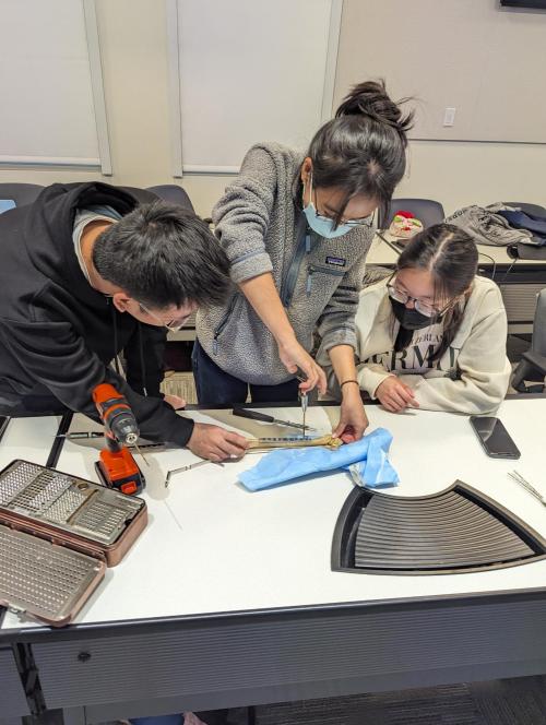 Immersive Biomedical Engineering Experience for Undergrads Now 'Whole ...